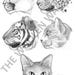 Artist Reference Sheet Download: Feline Faces - Etsy
