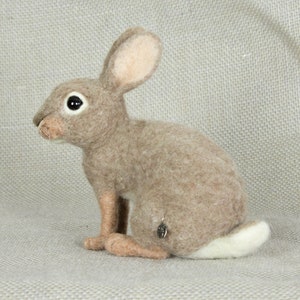 Needle Felted Rabbit Kit and Tutorial - Etsy