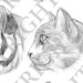 Artist Reference Sheet Download: Feline Faces - Etsy
