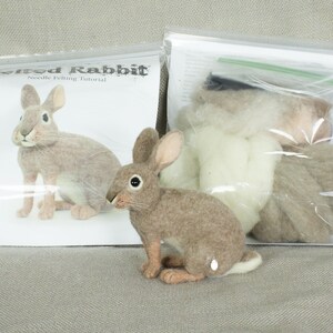 Needle Felted Rabbit Kit and Tutorial - Etsy