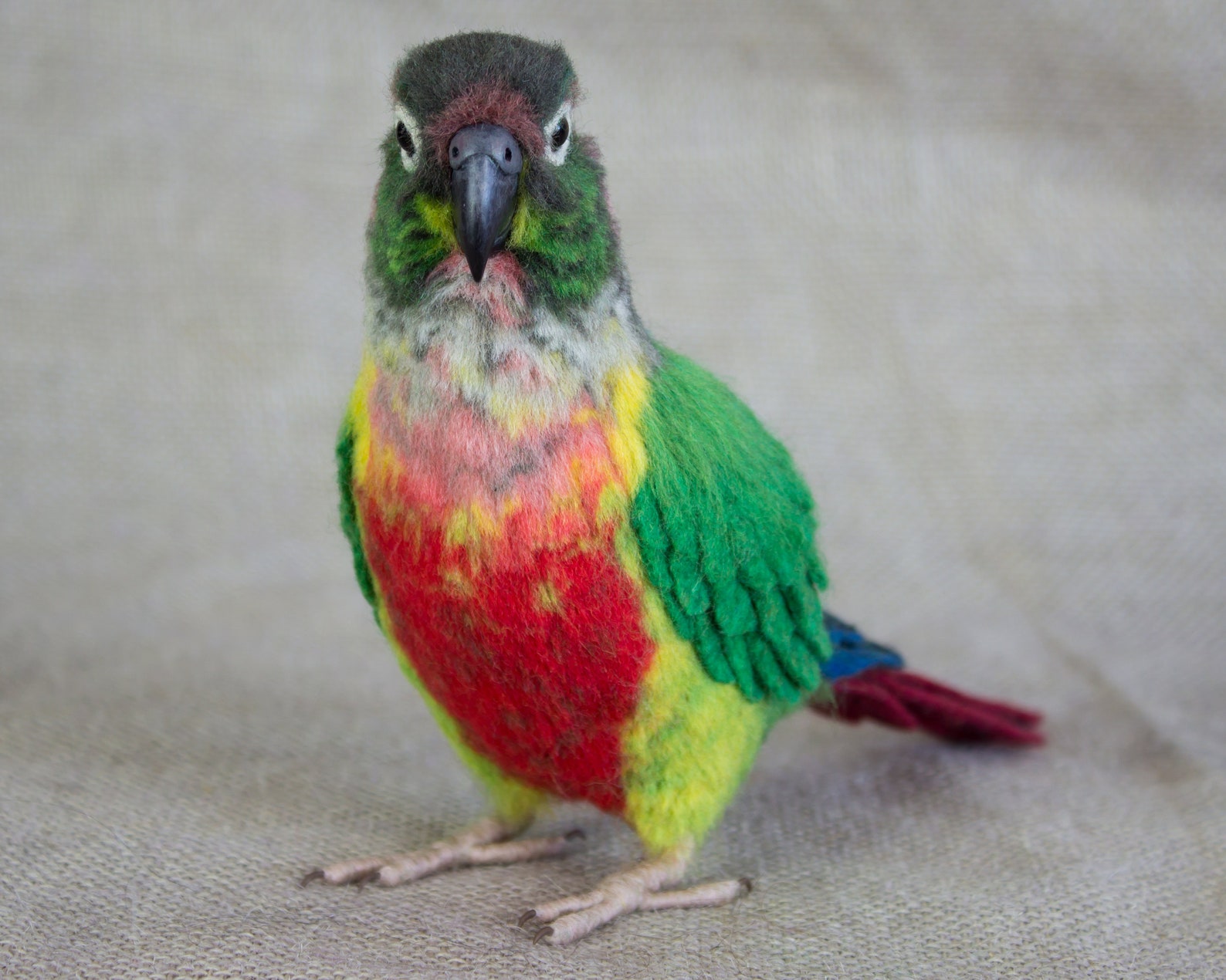 Made to Order Needle Felted Conure Parrot: Custom Needle - Etsy