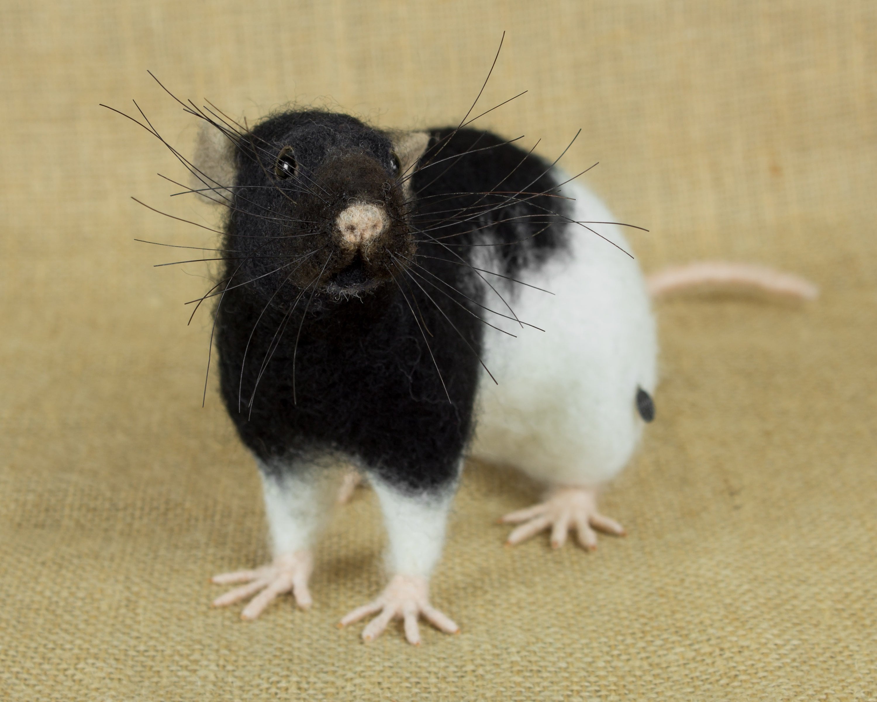 Made to Order Needle Felted Rat: Custom needle felted animal | Etsy