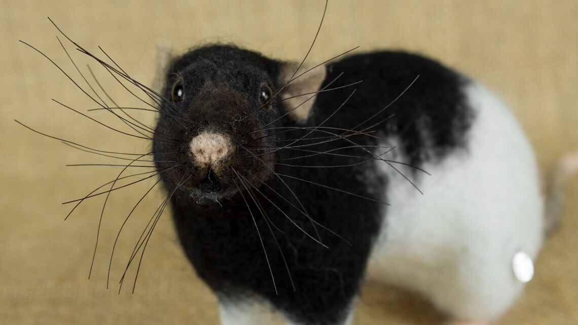 Made to Order Needle Felted Rat: Custom needle felted animal | Etsy