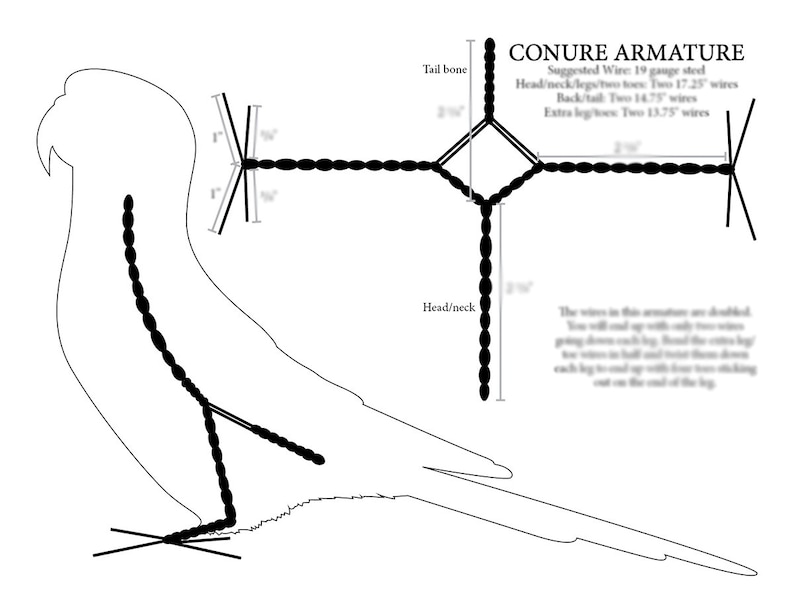 Armature Guide: Conure - Etsy