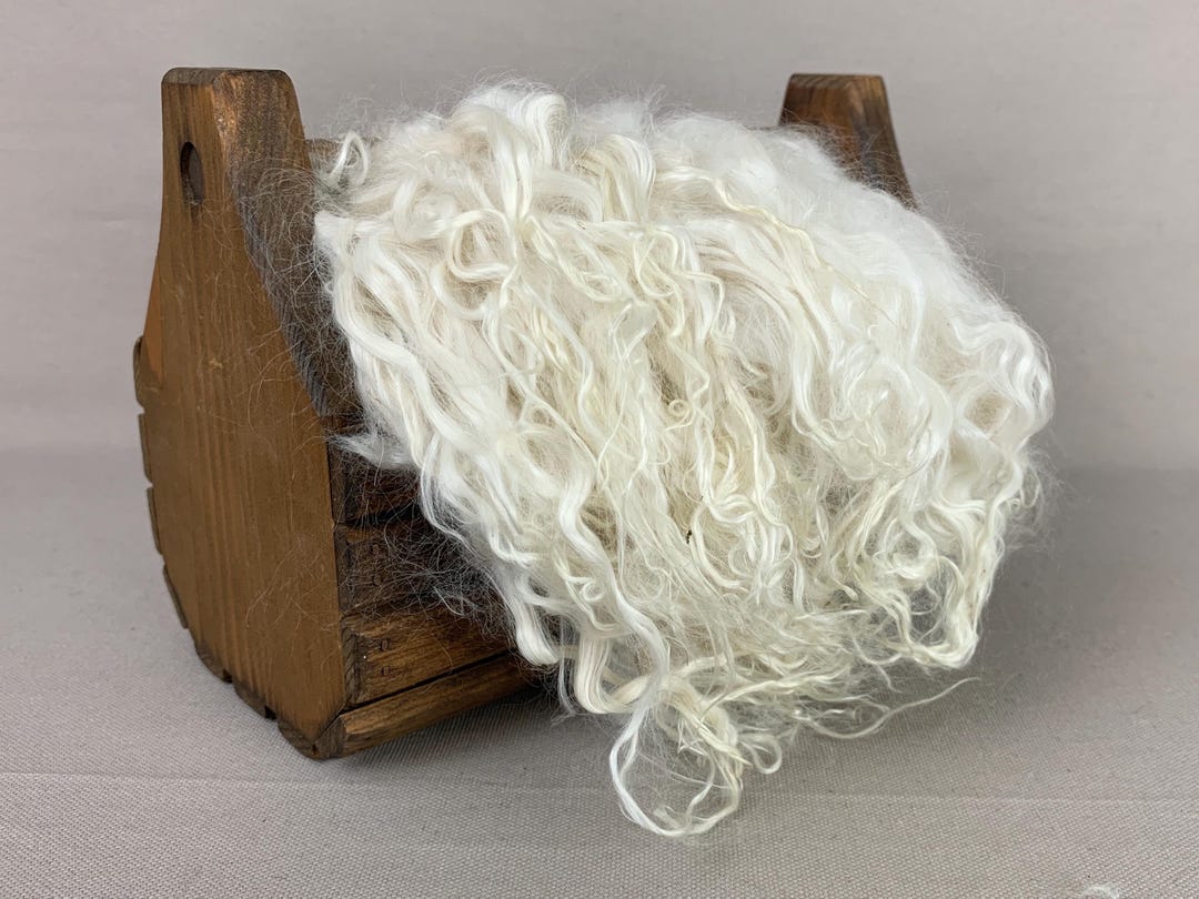 1 Oz Washed White Suri Alpaca Locks: (jude) Fiber for Felting, Spinning ...