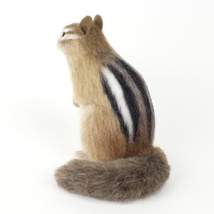 Needle Felted Chipmunk Kit and Tutorial - Etsy