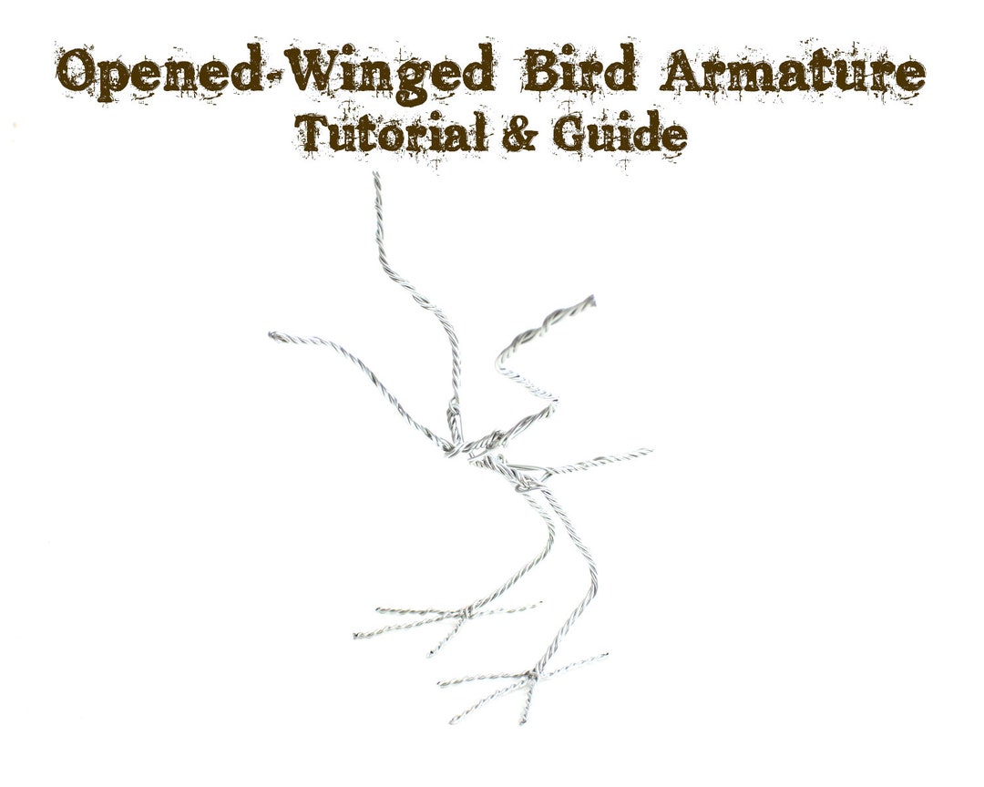 Armature Tutorial & Guide: Open Winged Bird - Etsy