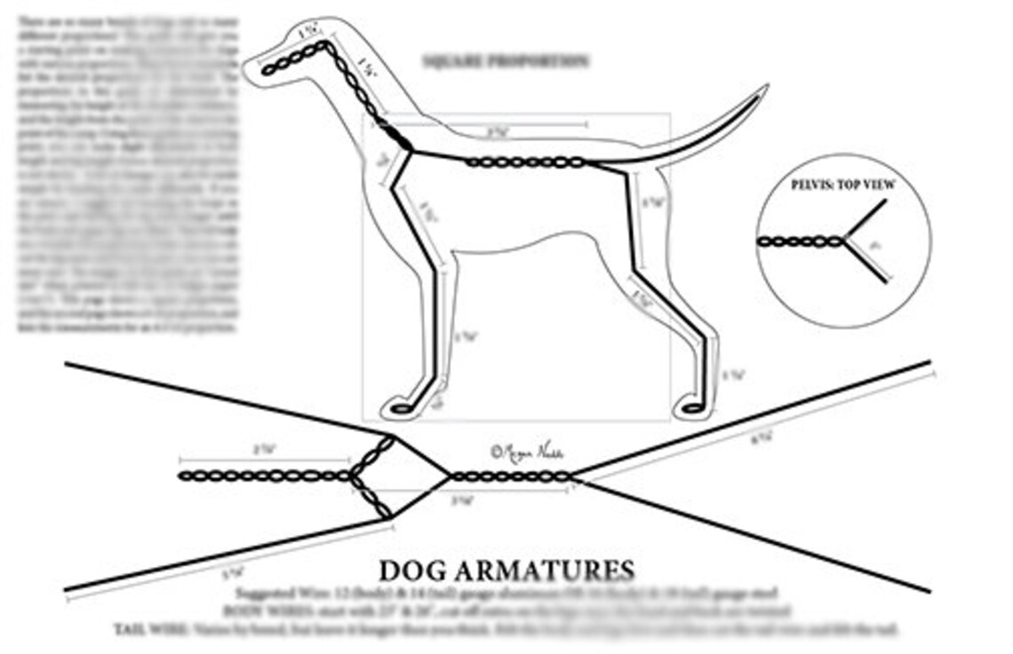 Armature Guide: Dogs | Etsy