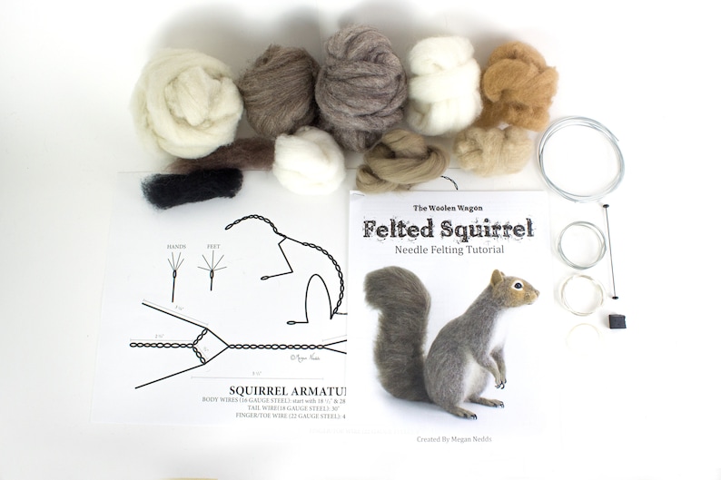 Needle Felted Squirrel Kit and Tutorial - Etsy