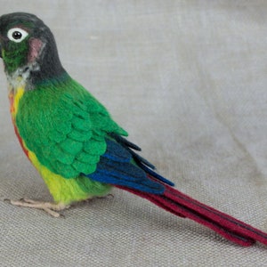 Made to Order Needle Felted Conure Parrot: Custom Needle Felted Animal ...