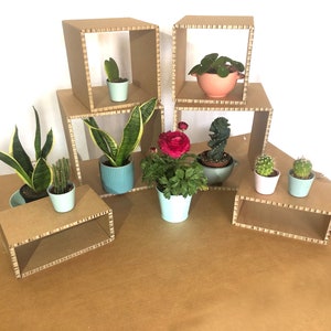 6 Display Riser Cardboard Shelf Table Riser Product Displays Stands ...