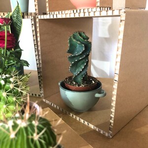 6 Display Riser Cardboard Shelf Table Riser Product Displays Stands ...