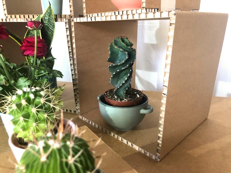 Pro Set – Modular Cardboard Display Cubes (6 Pcs per Set) – Eco Risers ...