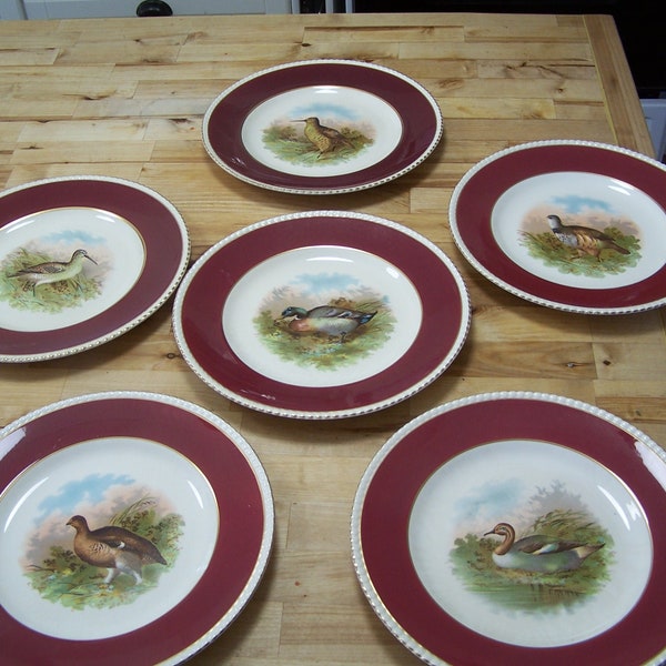 Ambassador Ware - Etsy