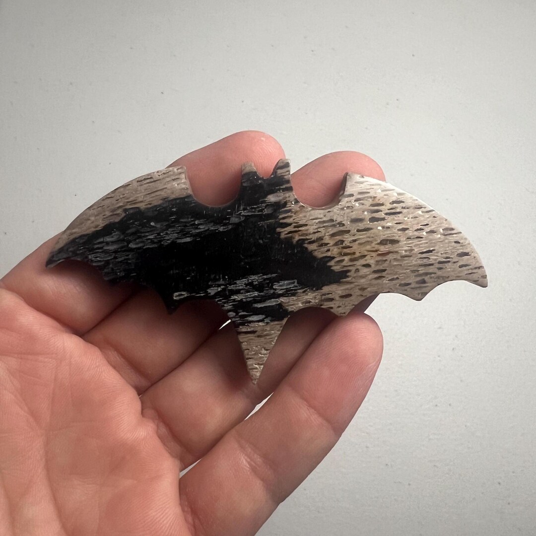 Petrified Palm Wood Bat Carving - Etsy