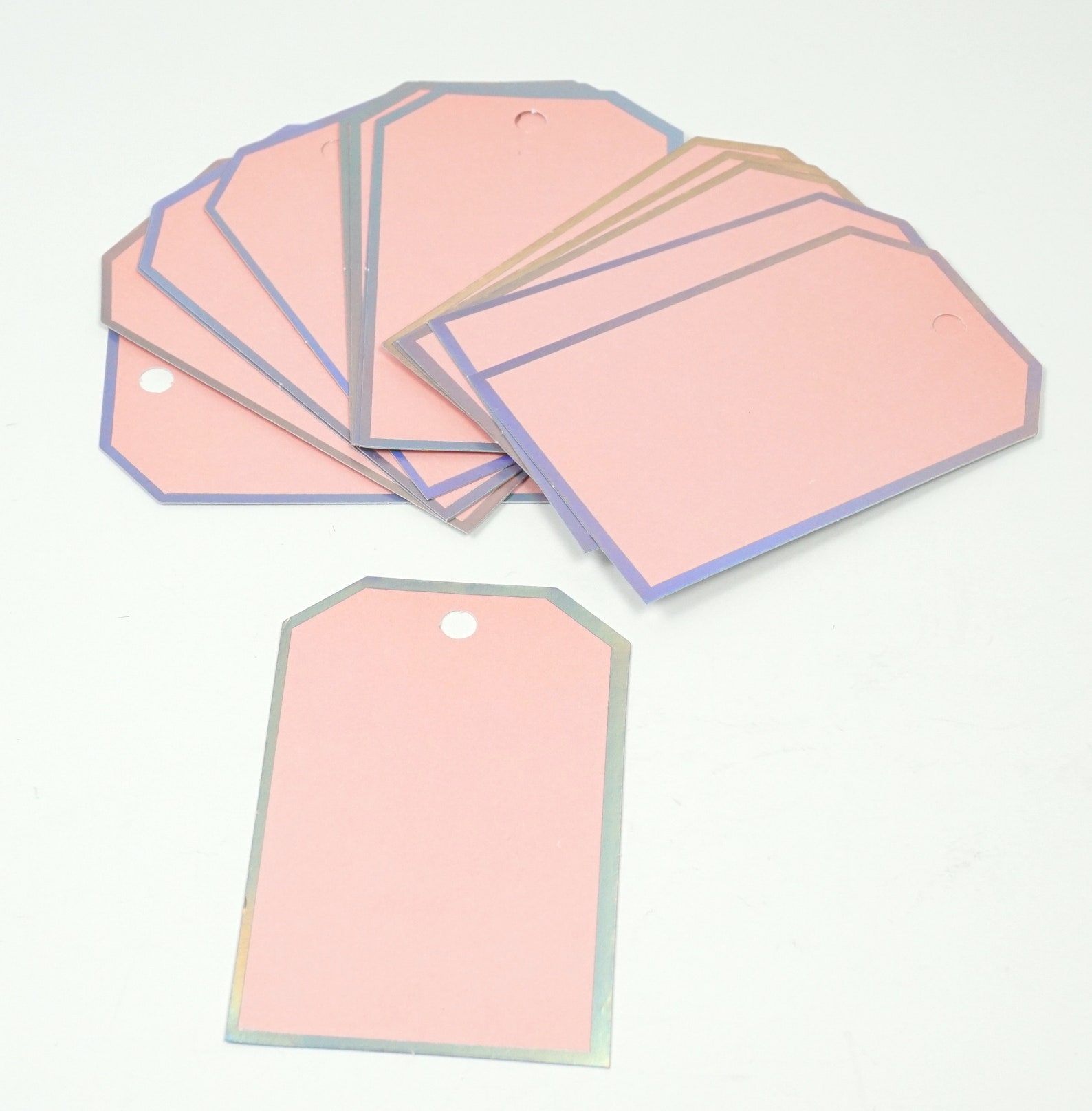 Set of 18 Pink Colored Kraft Tags With Metallic Silver Border--coral ...