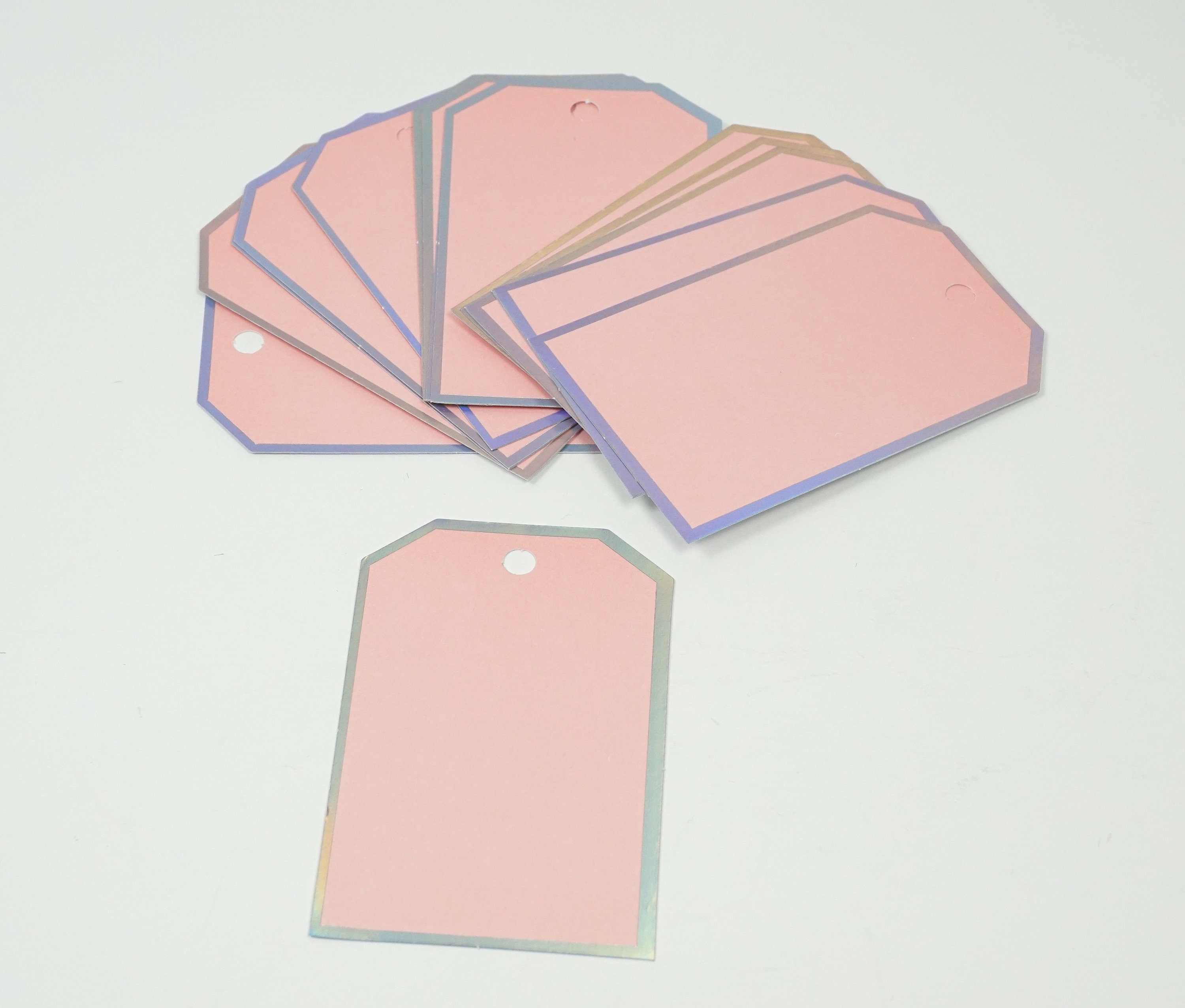 Set of 18 Pink Colored Kraft Tags With Metallic Silver Border--coral ...