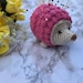 Hand Crochet Amigurumi Porcupine Hedgehog Pin Cushion - Etsy