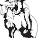 Mutton Bustin Svg Eps Dxf Cnc Plasmas Laser Cricut Silhouette Cuttable ...