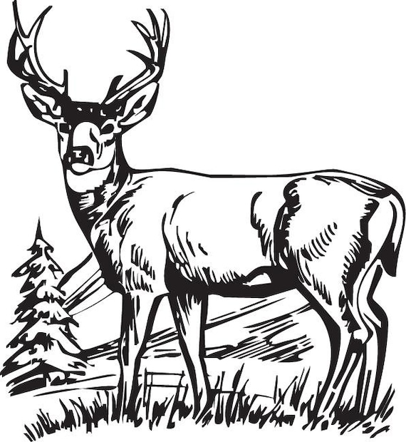 Deer scene store