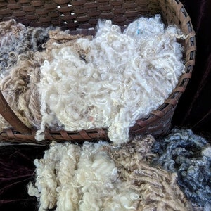 10 Yd Sheep Spun Locks - Etsy