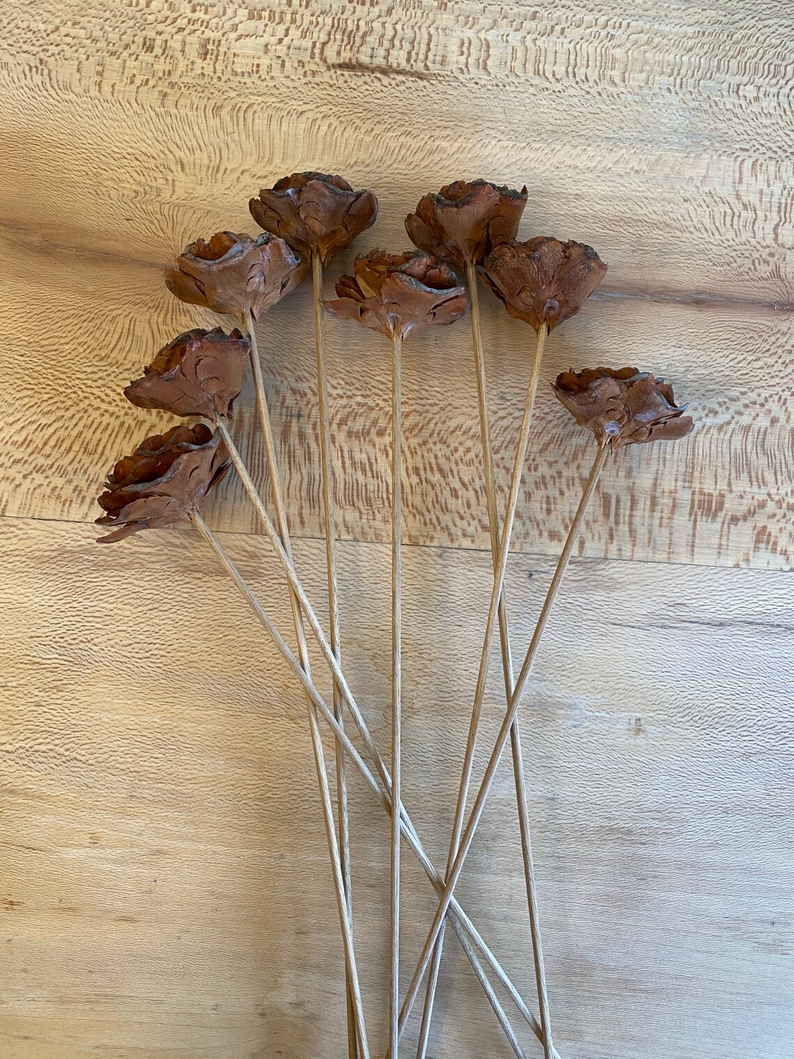 Cedar Roses With 18 Stems 10 Count - Etsy