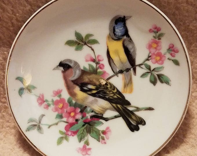 Beautiful Vintage Antique Set of 5 Collectible Bird Plates Imported ...