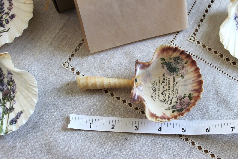 Paris Cottage Vintage Seashell Spoon, Scallop Turbo Handmade Seashell ...