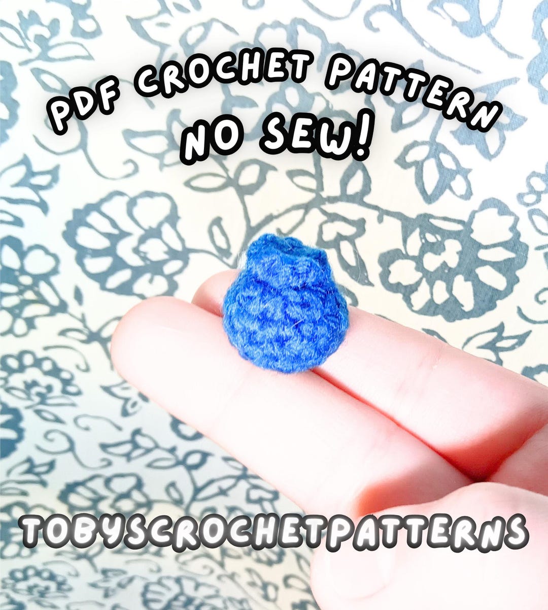 No Sew Crochet Blueberry Pattern | Easy Amigurumi (PDF Pattern, US ...