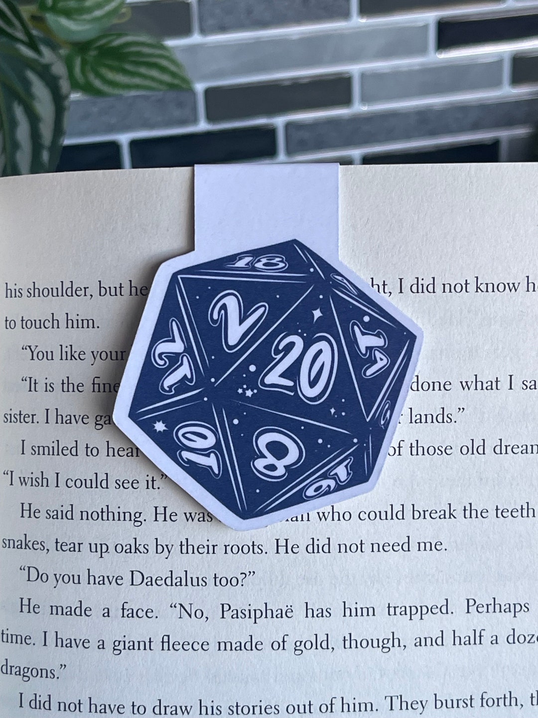D20 Magnetic Bookmark, D&D Dice Bookmark for Readers, Book Accessories ...