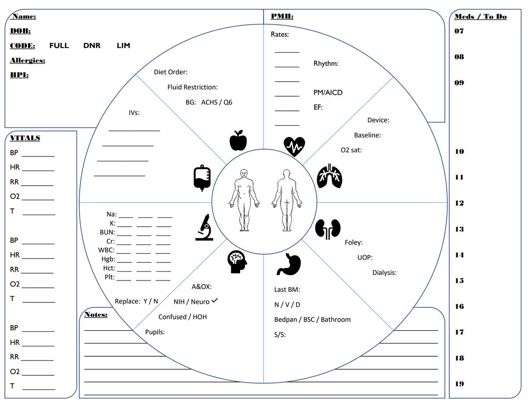 Nurse Report Sheet Pie Chart Day Shift-black and White - Etsy Canada