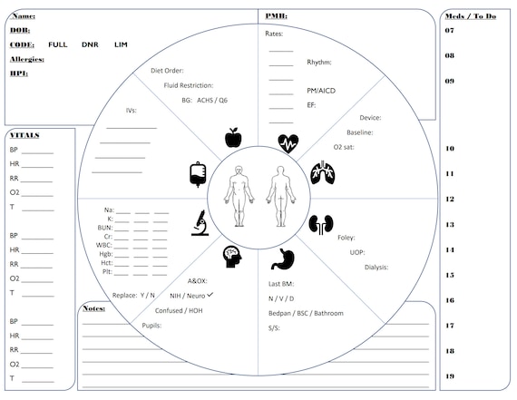 Nurse Report Sheet Pie Chart Day Shift-black and White - Etsy