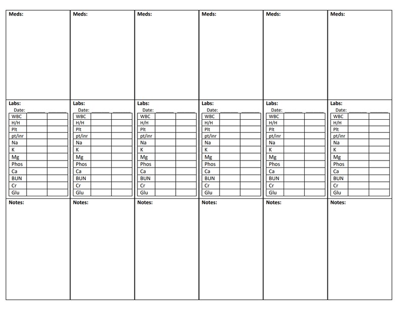 Multi-patient Report Sheet in Columns - Etsy