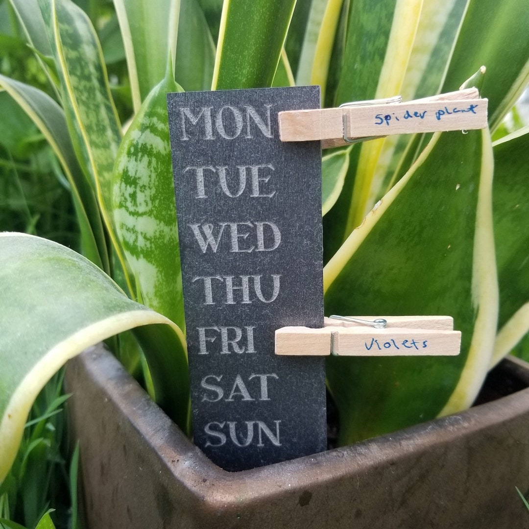 Plant Watering Schedule Stake, Plant Marker, Watering Reminder ...
