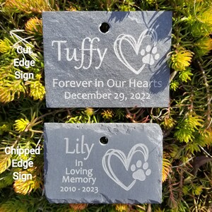 Pet Chicken Hen Memorial Garden Sign With Hanging Stake - Honor Your ...