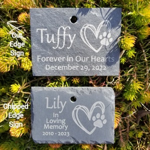 Pet Guinea Pig Memorial Garden Sign With Hanging Stake - Honor Your ...