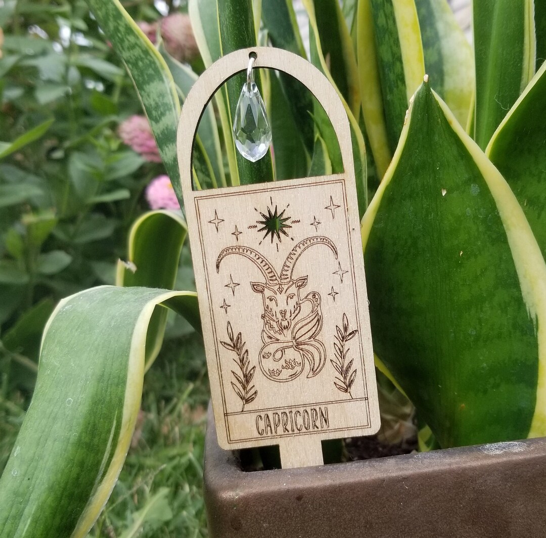 Zodiac Suncatcher Capricorn, Astrology Plant Stake, Witchy Decor - Etsy