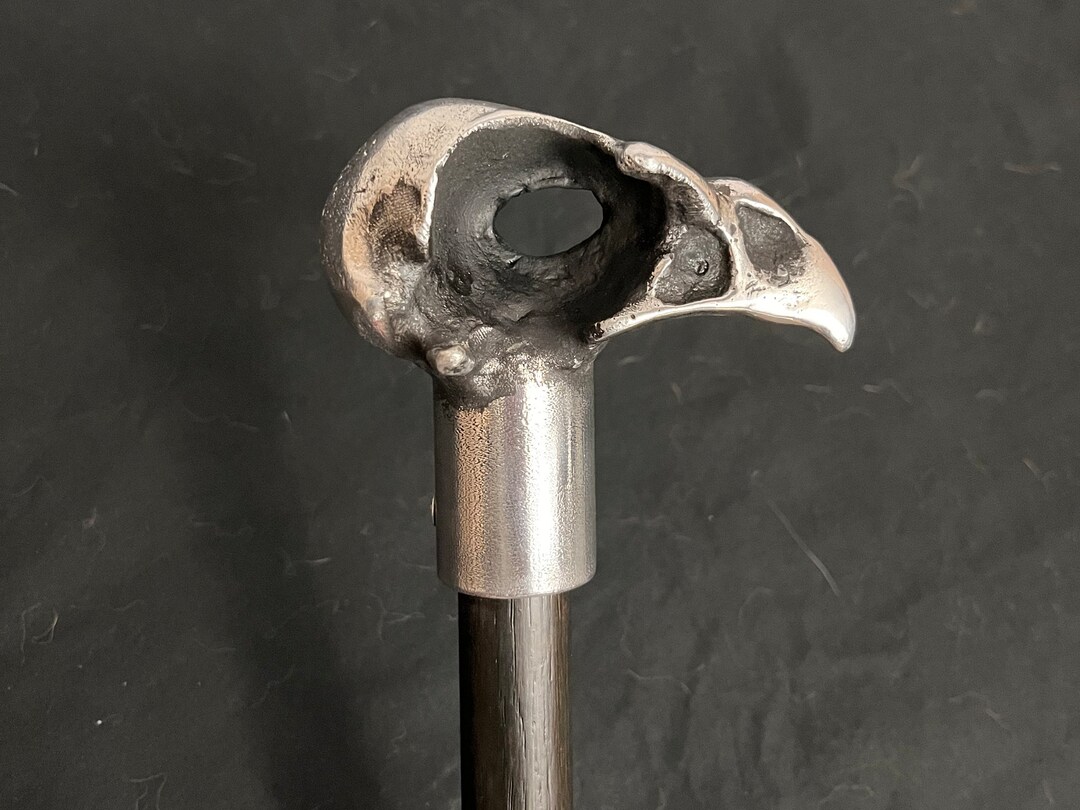 Hawk Skull Cane - Etsy