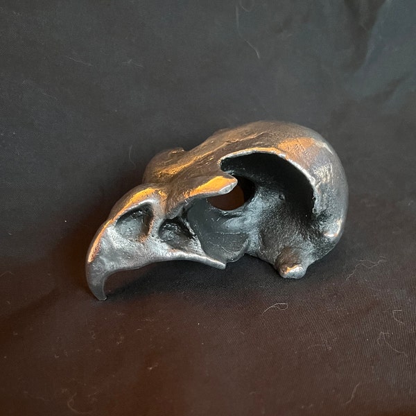 Skull Sculpture - Etsy