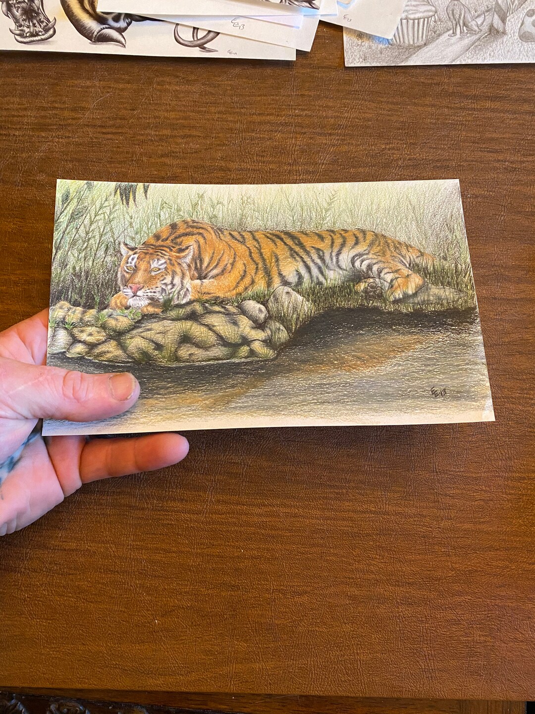 Tiger Colored Pencil Drawing - Etsy
