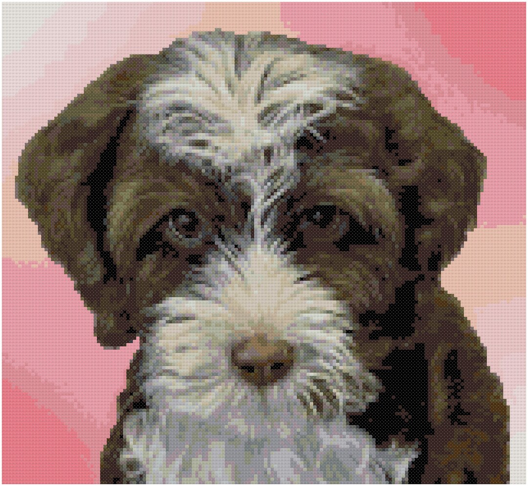 Cockapoo Cross Stitch Pattern - Etsy