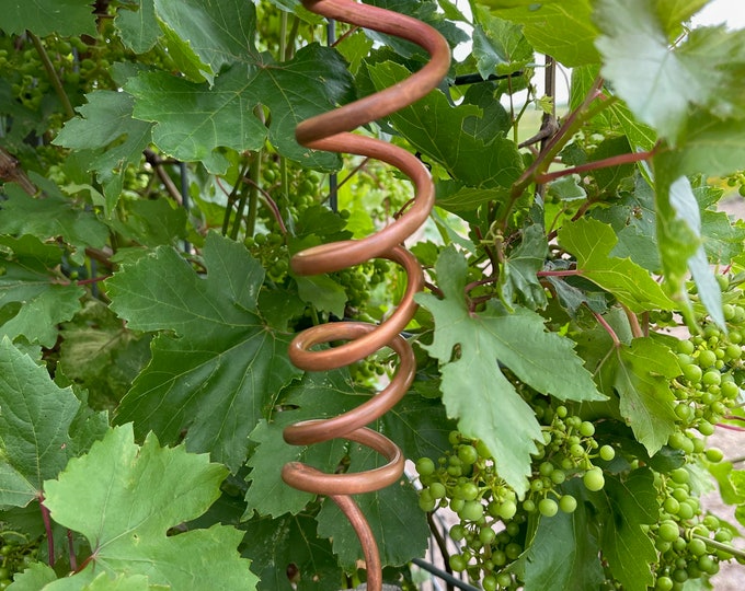 Electro Culture Copper Coil Antenna for Garden Made of 1/4 Copper ...