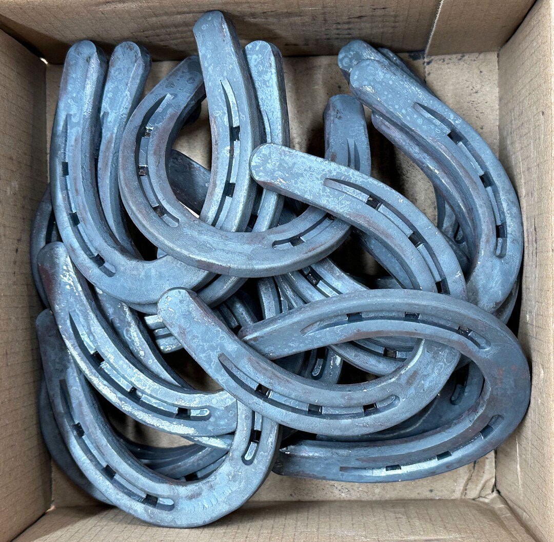 Diamond Farrier 0pony B Horseshoes, Pony Horseshoes 10 Pair - (20 Shoes ...