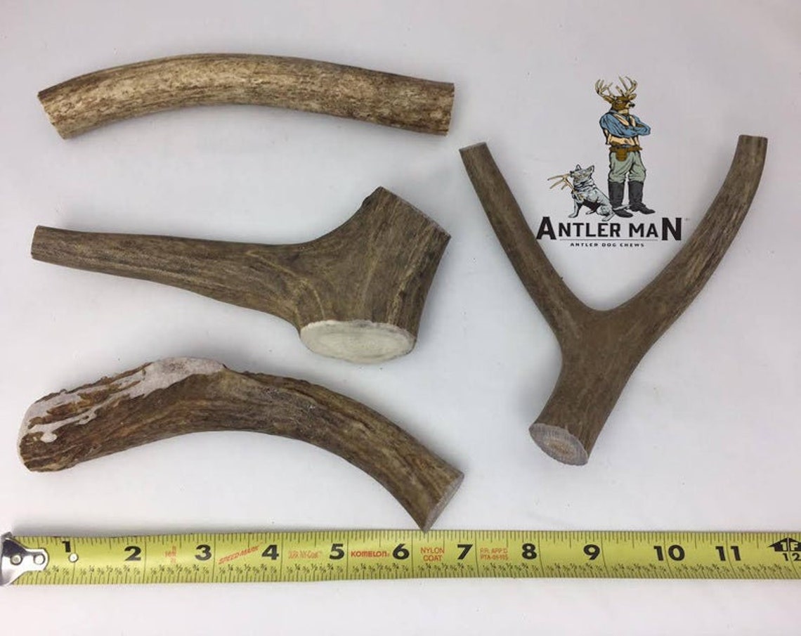Antler Man® Premium Deer Antler Pieces Dog Chews Sold by the - Etsy UK