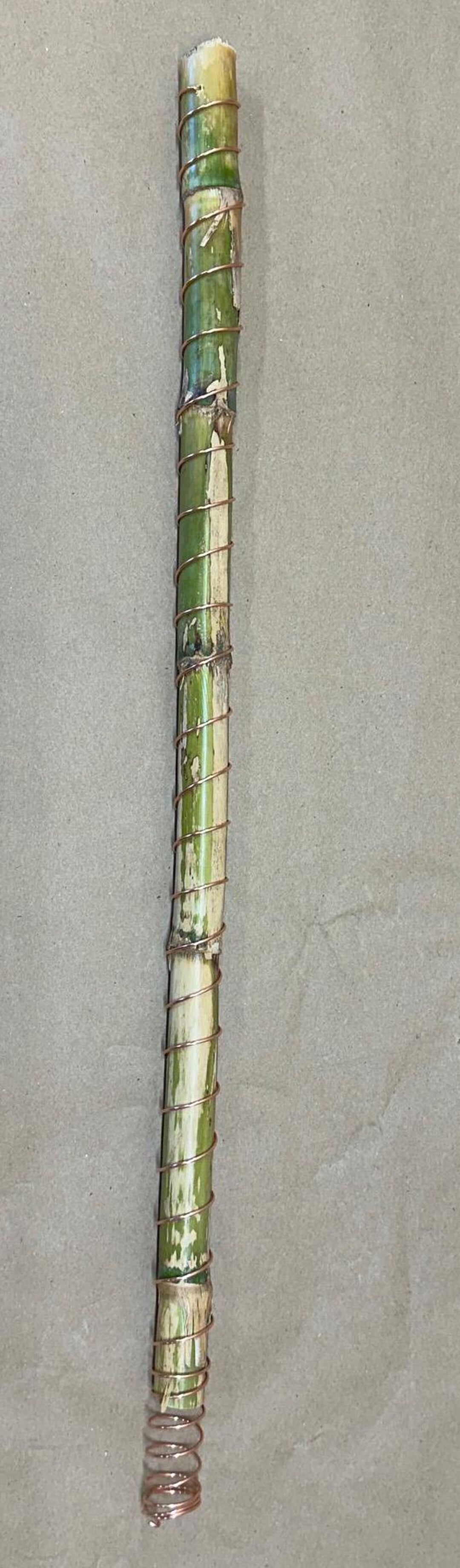 24 Inch Electro Culture Copper Wire Coil Antenna Garden Stake - Lot ...