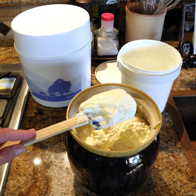 Working Butter Churn and Oak Dasher - Etsy