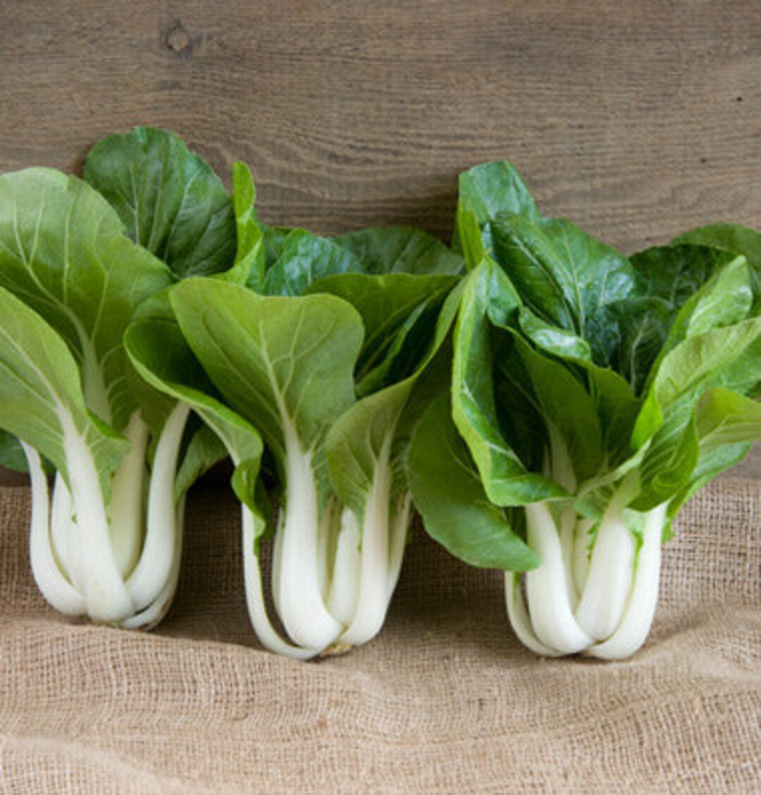 Vkcabowin-win Baby Pac Choiseedvery - Etsy