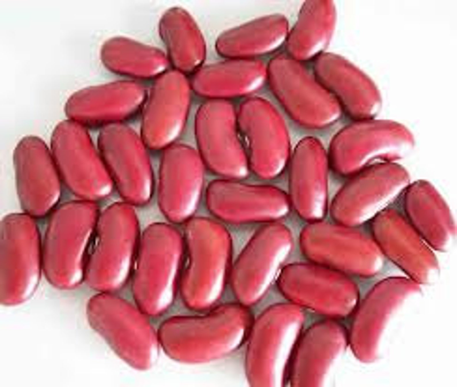 VBDSMALL RED Kidney Beanseedgreat Cook-great Garden - Etsy