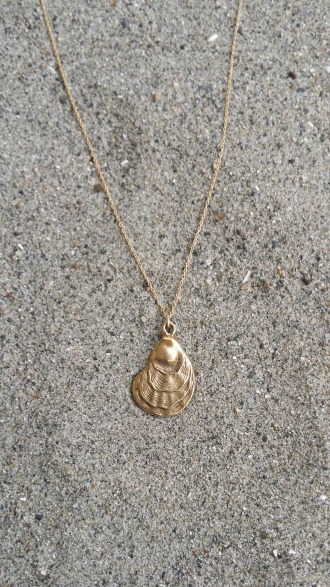 Silver Shell Necklace Oyster Sea Shell Silver Necklace - Etsy