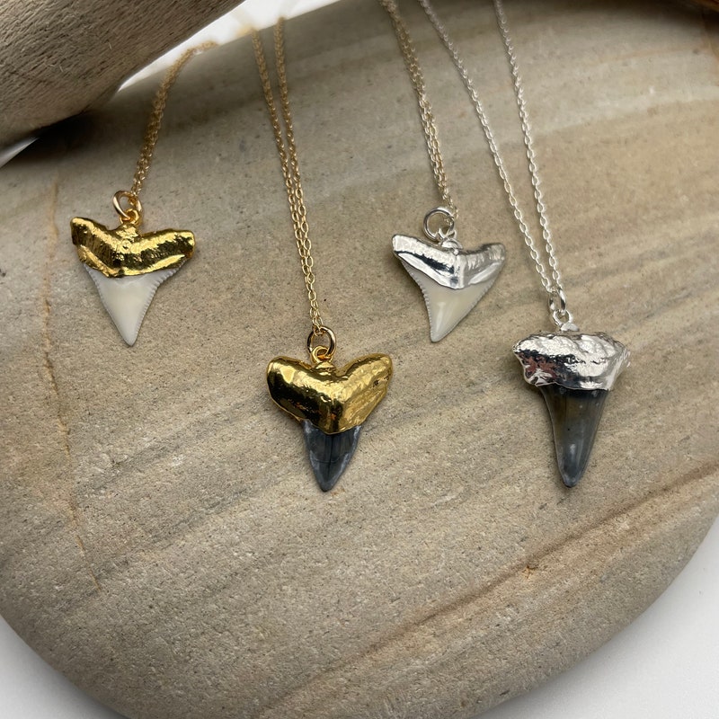 Shark Tooth Necklace - Etsy